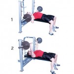 borst oefeningen, bench press, borst trainen - Gymjunkies l Fitness ...